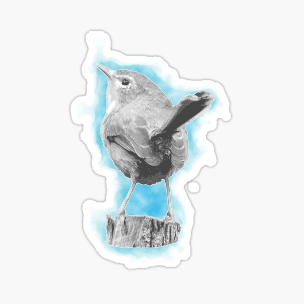 "Fairy wren blue watercolor" Sticker for Sale by AaronKinzer | Redbubble