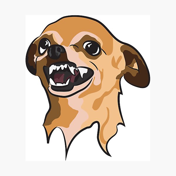 Lámina fotográfica «Dibujos animados de Chihuahua enojado» de Ondis ...
