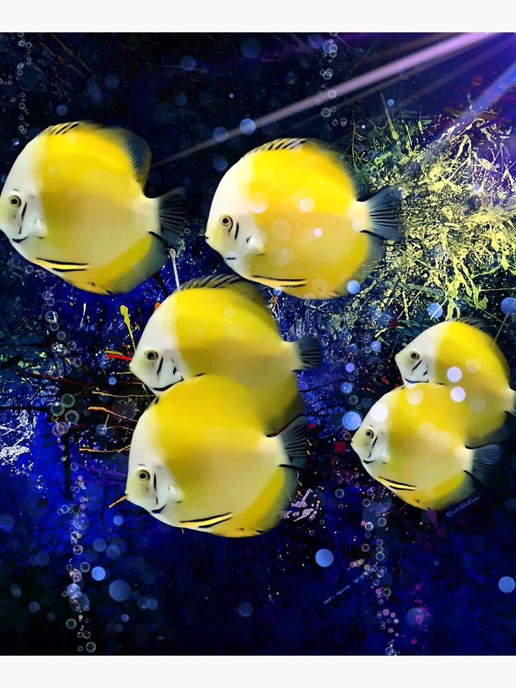 "Lemon Yellow Discus School" Mounted Print for Sale by Digital-designs ...