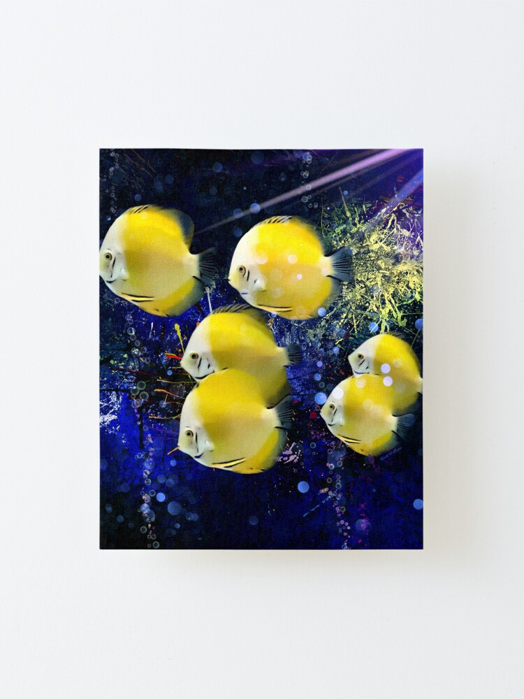 "Lemon Yellow Discus School" Mounted Print for Sale by Digital-designs ...