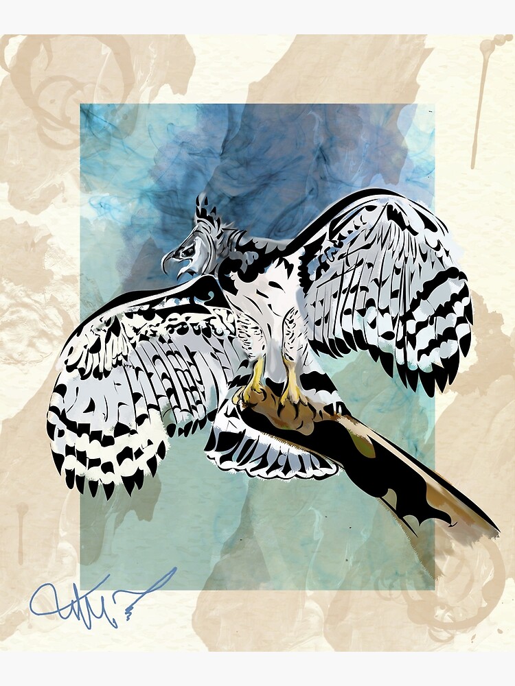 "Harpy eagle" Poster for Sale by Livia87 | Redbubble