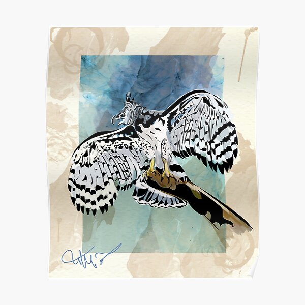 "Harpy eagle" Poster by Livia87 | Redbubble