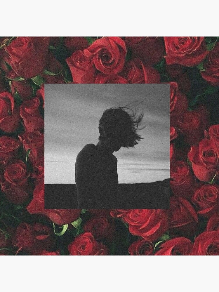 "Girl in Red- 4am album cover" Poster for Sale by ava06123 | Redbubble