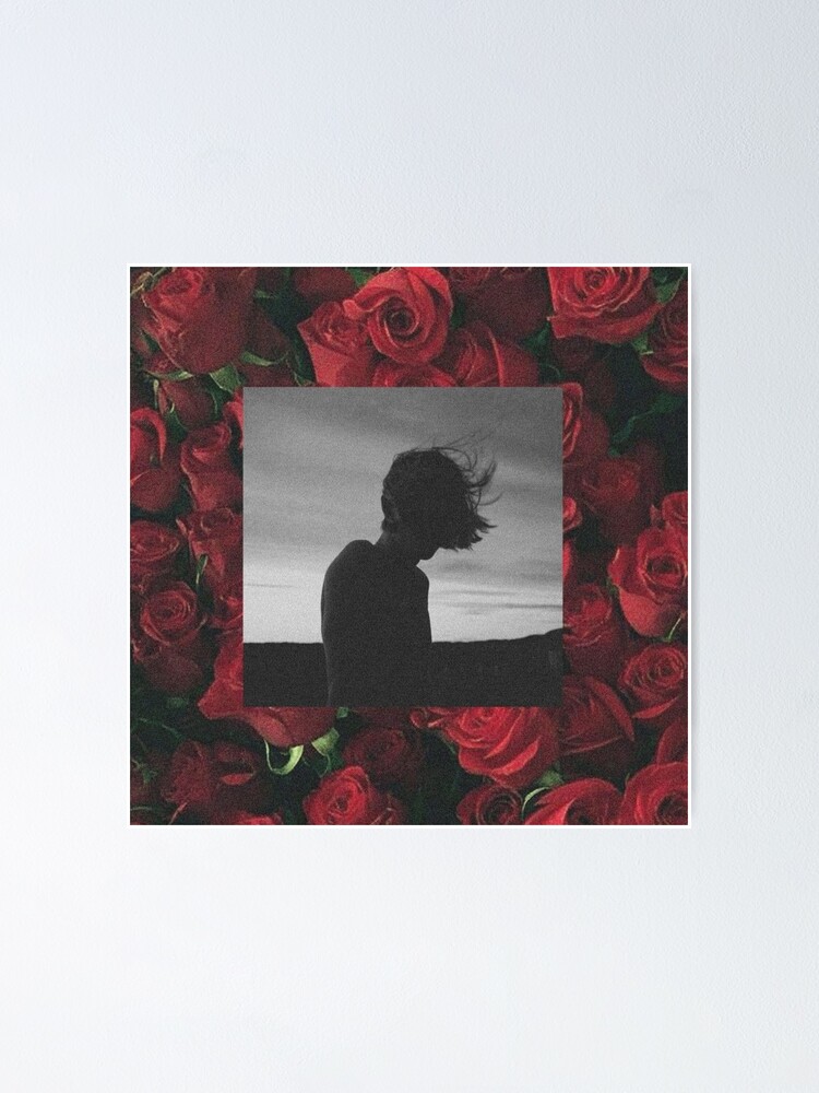 "Girl in Red- 4am album cover" Poster for Sale by ava06123 | Redbubble