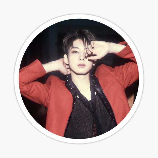 "Seventeen An Ode Real Ver. Wonwoo" Sticker by kxnsy | Redbubble
