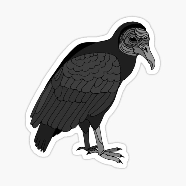 "Black Vulture" Sticker for Sale by CreativeCorvid | Redbubble