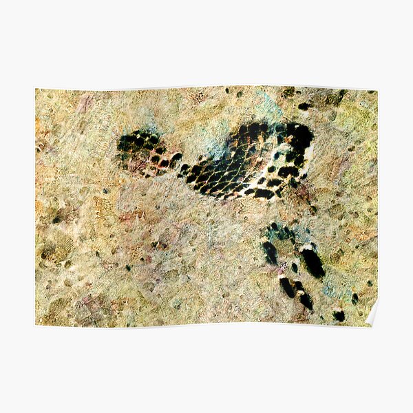 "The Evolution of Man" Poster for Sale by PictureNZ | Redbubble