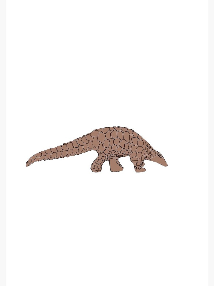 "Pangolin Outline Drawing" Spiral Notebook by lexieee06 | Redbubble