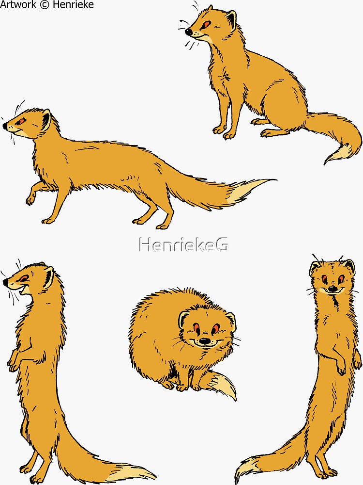 "Yellow Mongoose sticker set 2" Sticker for Sale by HenriekeG | Redbubble
