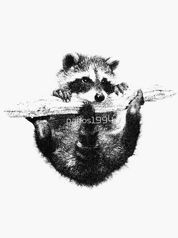"Hanging Raccoon" Sticker for Sale by panos1994 | Redbubble