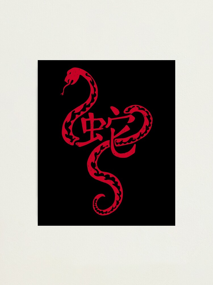 "Wicked Serpent Chinese Snake Design in Japan Red | Hanzi Symbol ...