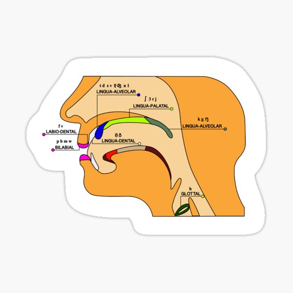"Speech Language Pathology" Sticker for Sale by made by esther designs ...