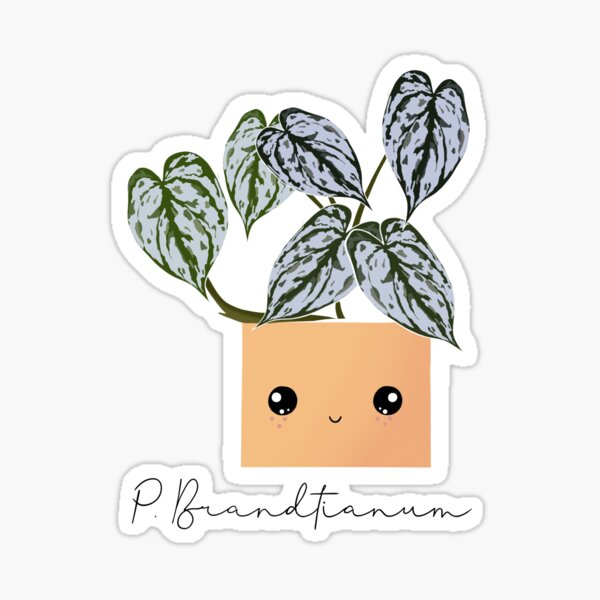 "Philodendron Brandi" Sticker for Sale by GelsGarden | Redbubble