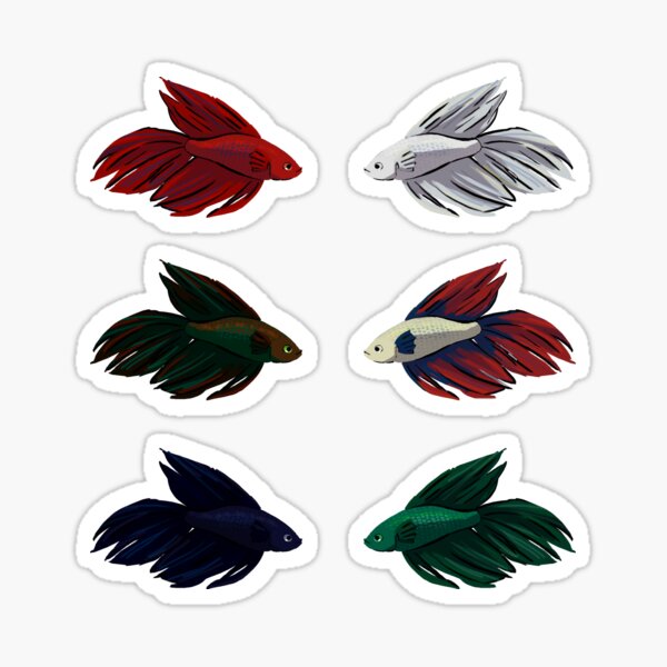 Betta Fish Stickers | Redbubble