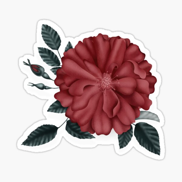 "Wild Briar Rose " Sticker by Juliarch | Redbubble