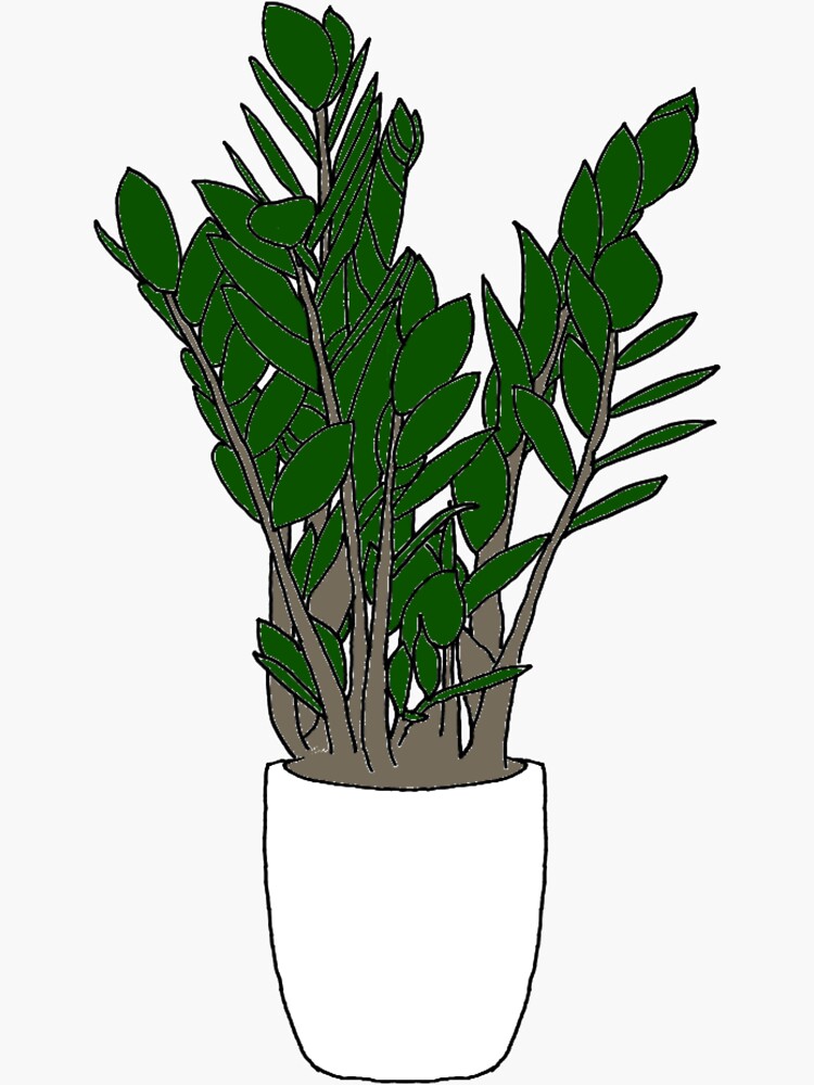 "ZZ Plant" Sticker for Sale by mpandie | Redbubble