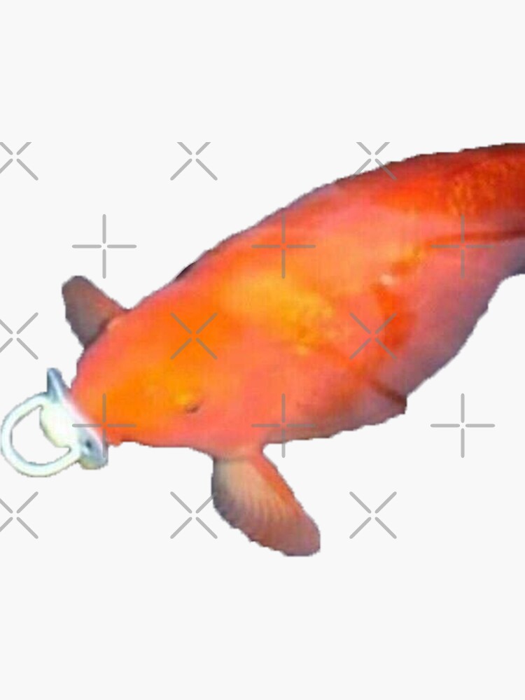 "Fish With Pacifier" Sticker by Charloote | Redbubble
