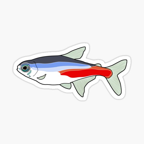 "Neon Tetra" Sticker for Sale by Xh101 | Redbubble