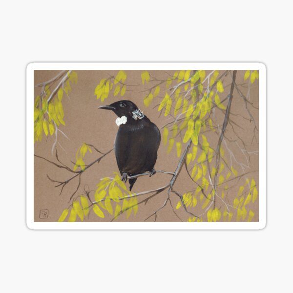 "Tui bird of New Zealand" Sticker for Sale by CRkuns | Redbubble