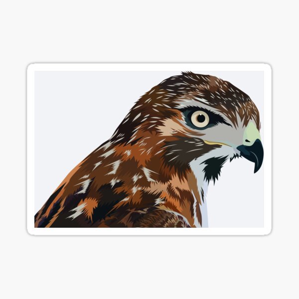 "Hawk" Sticker for Sale by smilldesigns | Redbubble