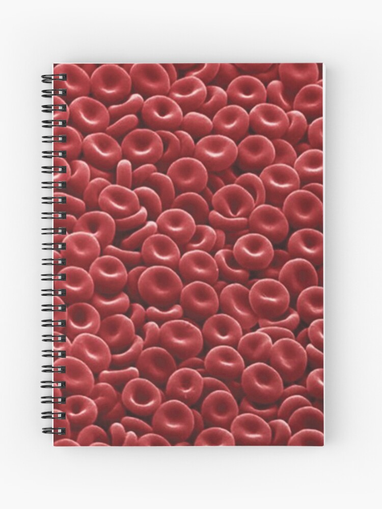"Red Blood Cells Under Microscope" Journal for Sale by avidfan2000 ...