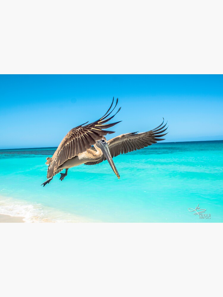 "FLYTIME " Sticker by KennyBImages899 | Redbubble