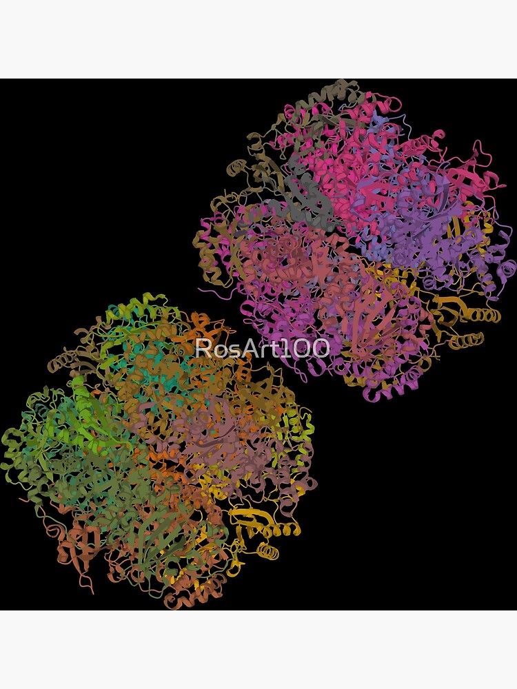"Rubisco - protein structure" Poster by RosArt100 | Redbubble