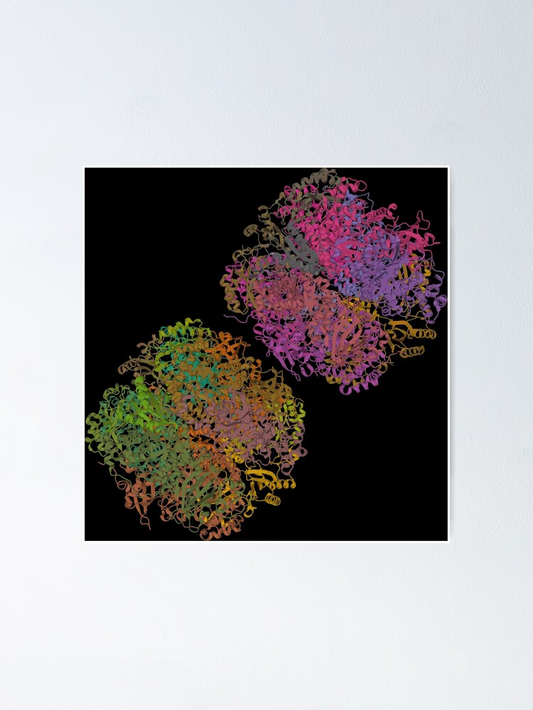"Rubisco - protein structure" Poster by RosArt100 | Redbubble