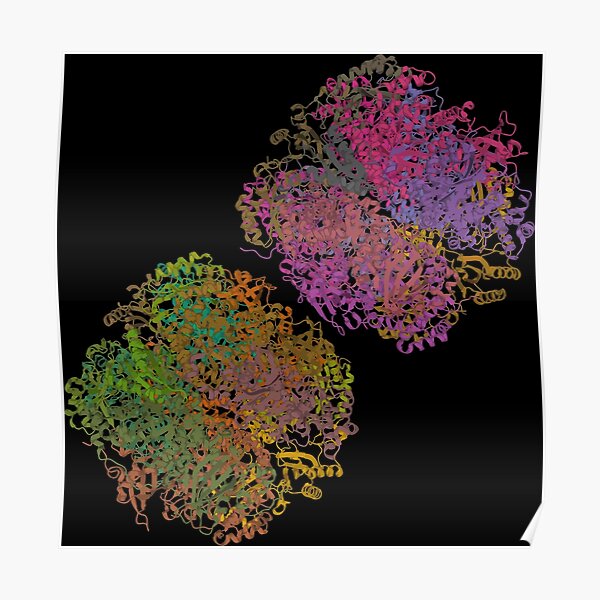"Rubisco - protein structure" Poster by RosArt100 | Redbubble