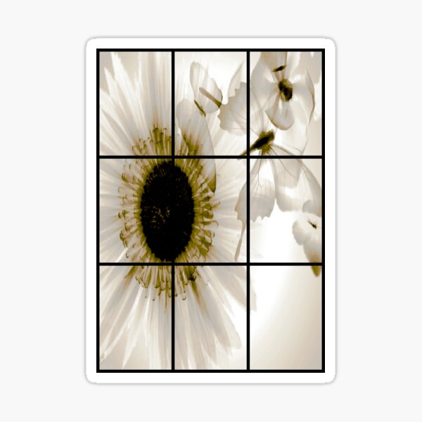 "Transparent_flower in Frames" Sticker for Sale by robelf | Redbubble