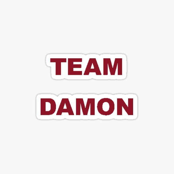 "team Damon!!" Sticker for Sale by raynecollection | Redbubble