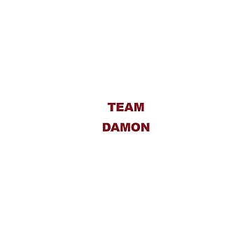 "team Damon!!" Sticker for Sale by raynecollection | Redbubble