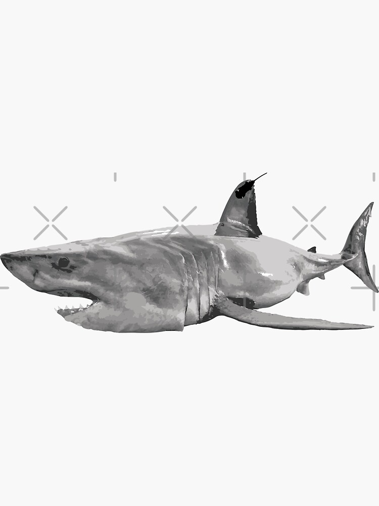 "Great White Shark Print" Sticker by noblemermaid | Redbubble