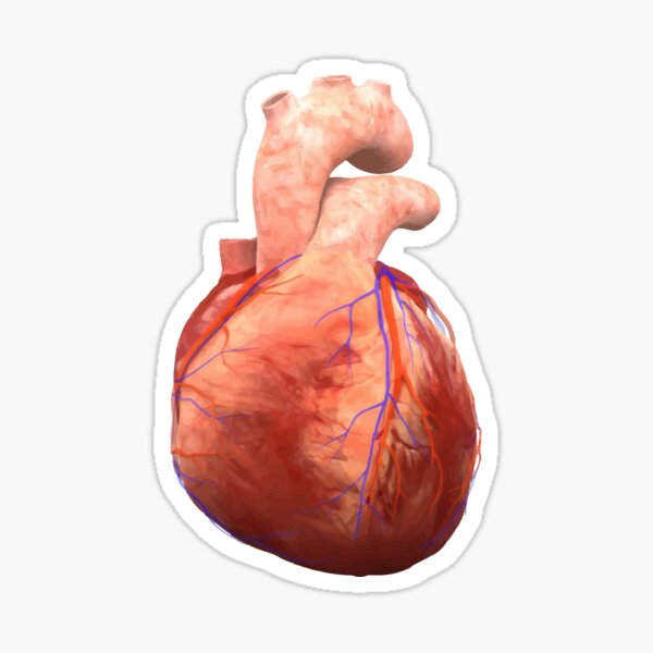 "Awesome Real Heart" Sticker by MagicRoundabout | Redbubble