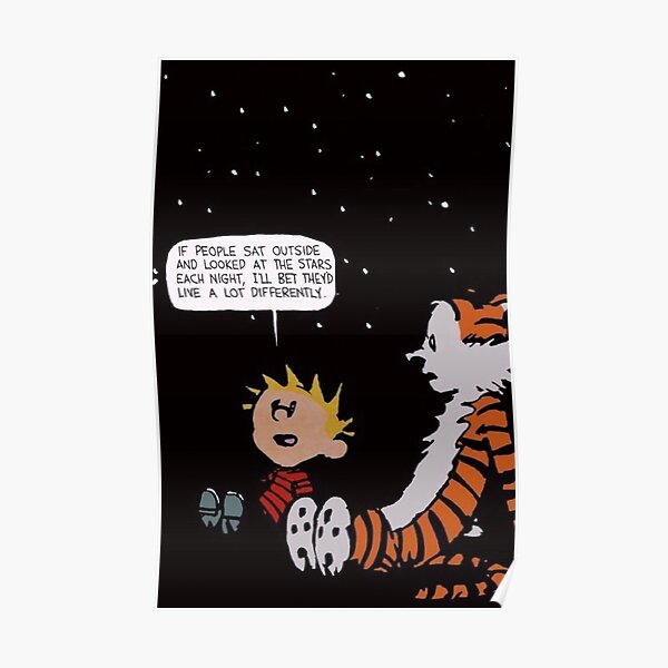 Calvin And Hobbes Quote Posters | Redbubble