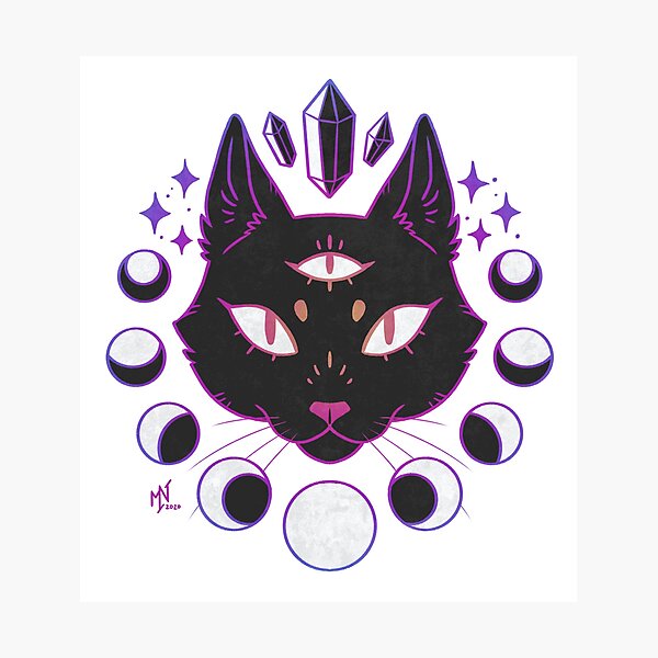 "Lunar Cat" Photographic Print by kattvalk | Redbubble