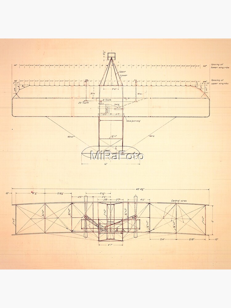 Pauplan Posters for Sale | Redbubble