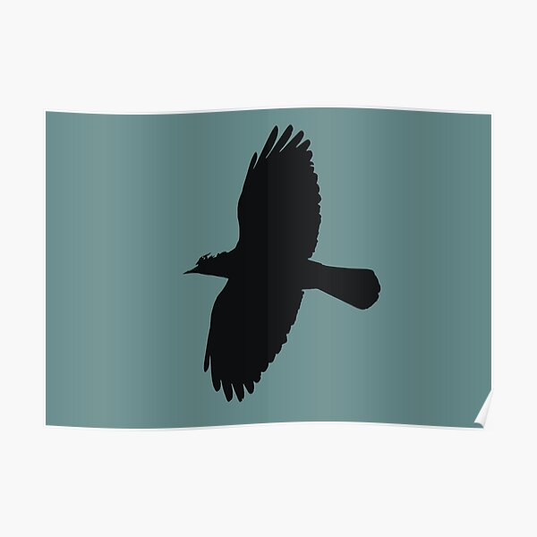 "Minimalistic Jackdaw In Flight Silhouette" Poster by taiche | Redbubble