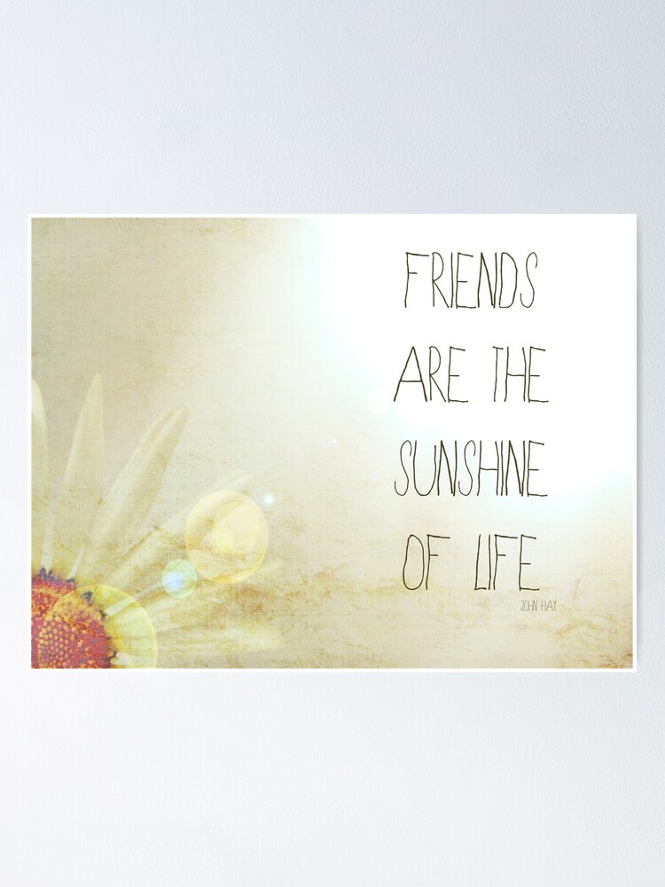 "Sunshine & Friendship." Poster by Vintageskies | Redbubble