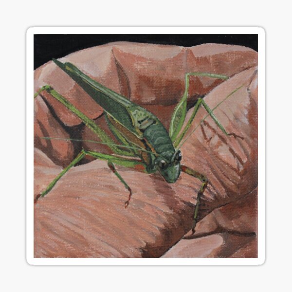 "Forktail katydid" Sticker for Sale by Eco-Artopia | Redbubble