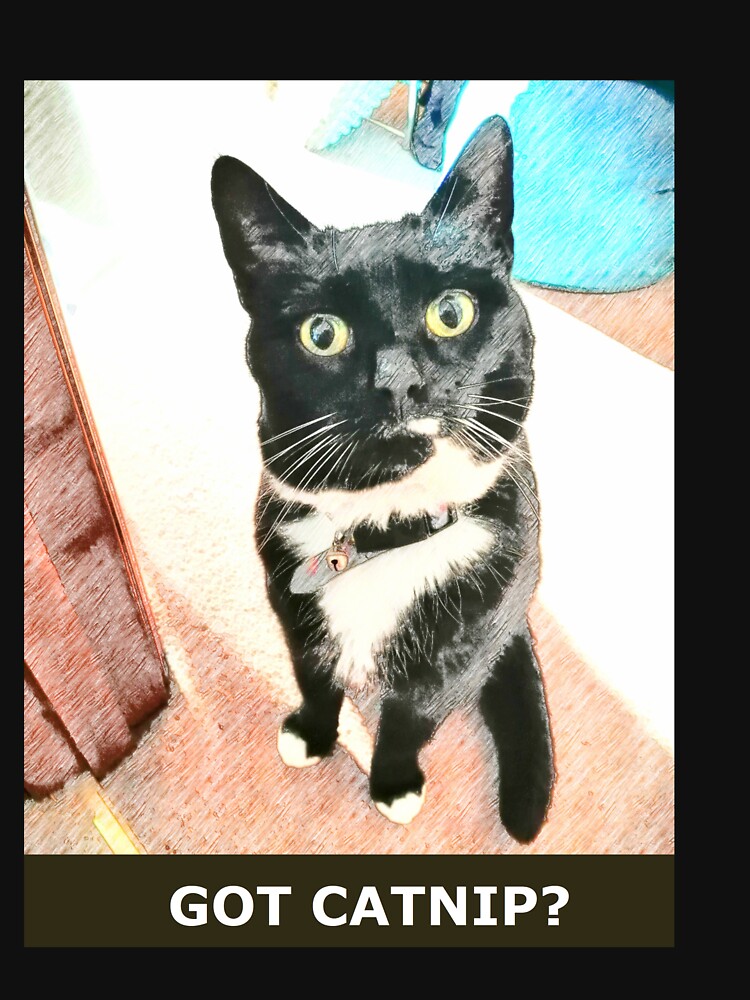 "Got catnip?" T-shirt for Sale by lemonlime87 | Redbubble | catnip t ...