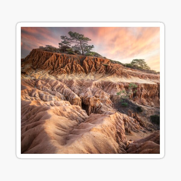 "Torrey Pines State Reserve" Sticker for Sale by jswolfphoto | Redbubble