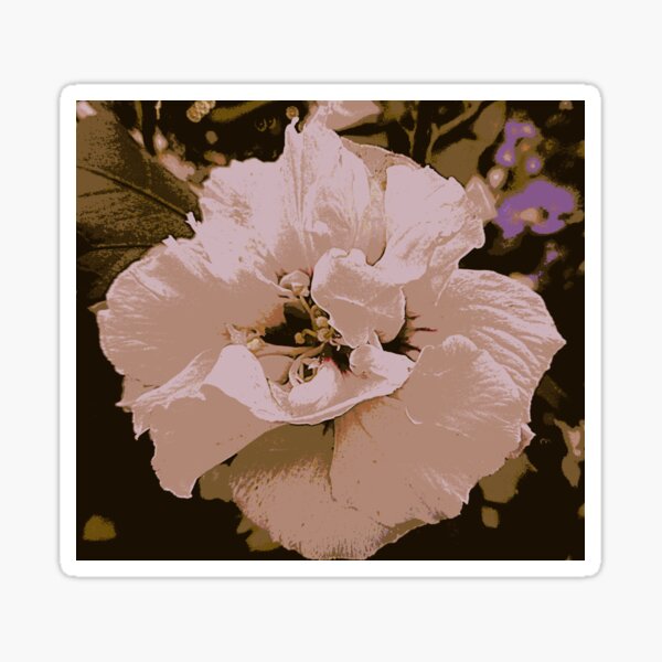 "Pink Poppy" Sticker for Sale by Fara | Redbubble