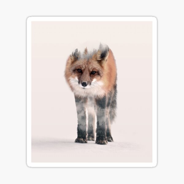 "hondo kitsune" Sticker for Sale by pegessert | Redbubble