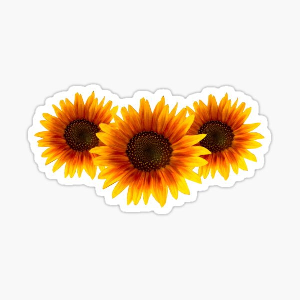 "Flower Tumblr Sunflowers" Sticker by adaba | Redbubble