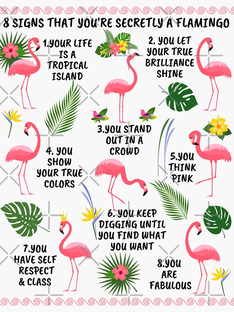 "Eight Signs That You Are Secretly a Flamingo Crazy Flamingo Lady Funny ...