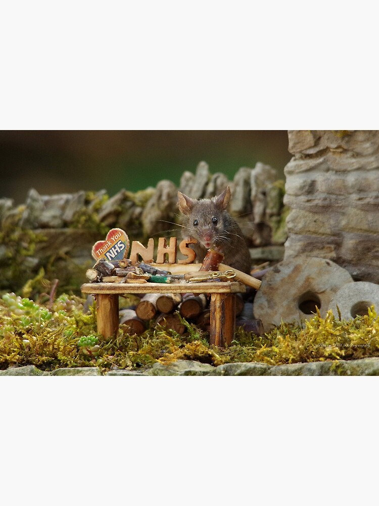 "George the mouse in a log pile House color NHS heart " Poster for Sale ...