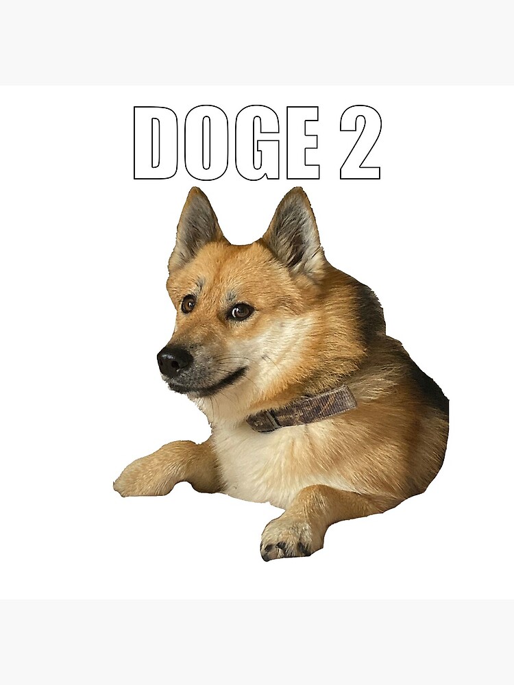 "Doge 2" Poster by ccolinn | Redbubble