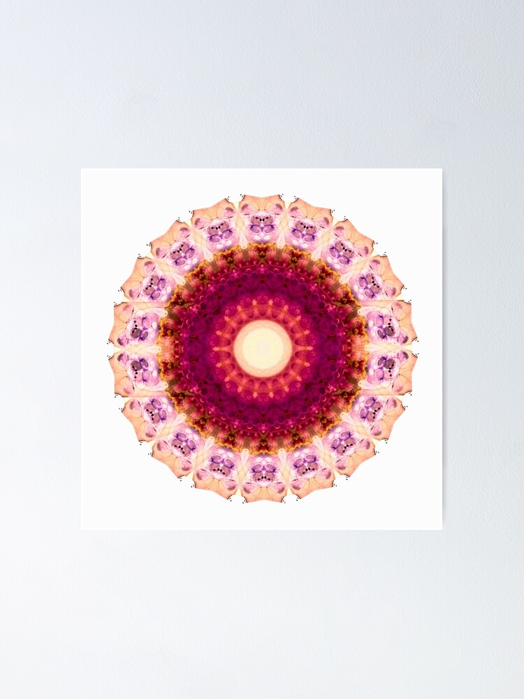"Kindness Mandala Art by Sharon Cummings" Poster for Sale by ...