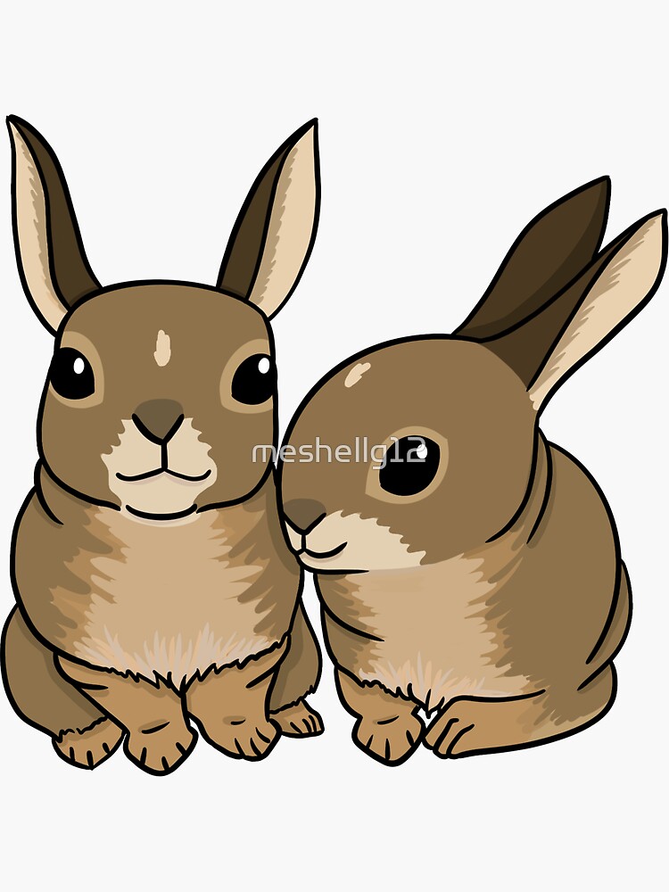 "Desert Cottontail Bunny Rabbits" Sticker for Sale by meshellg12 ...